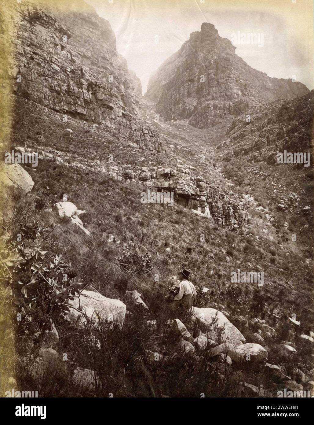 Face of Table Mountain Description: 'Photograph of Face of Table ...