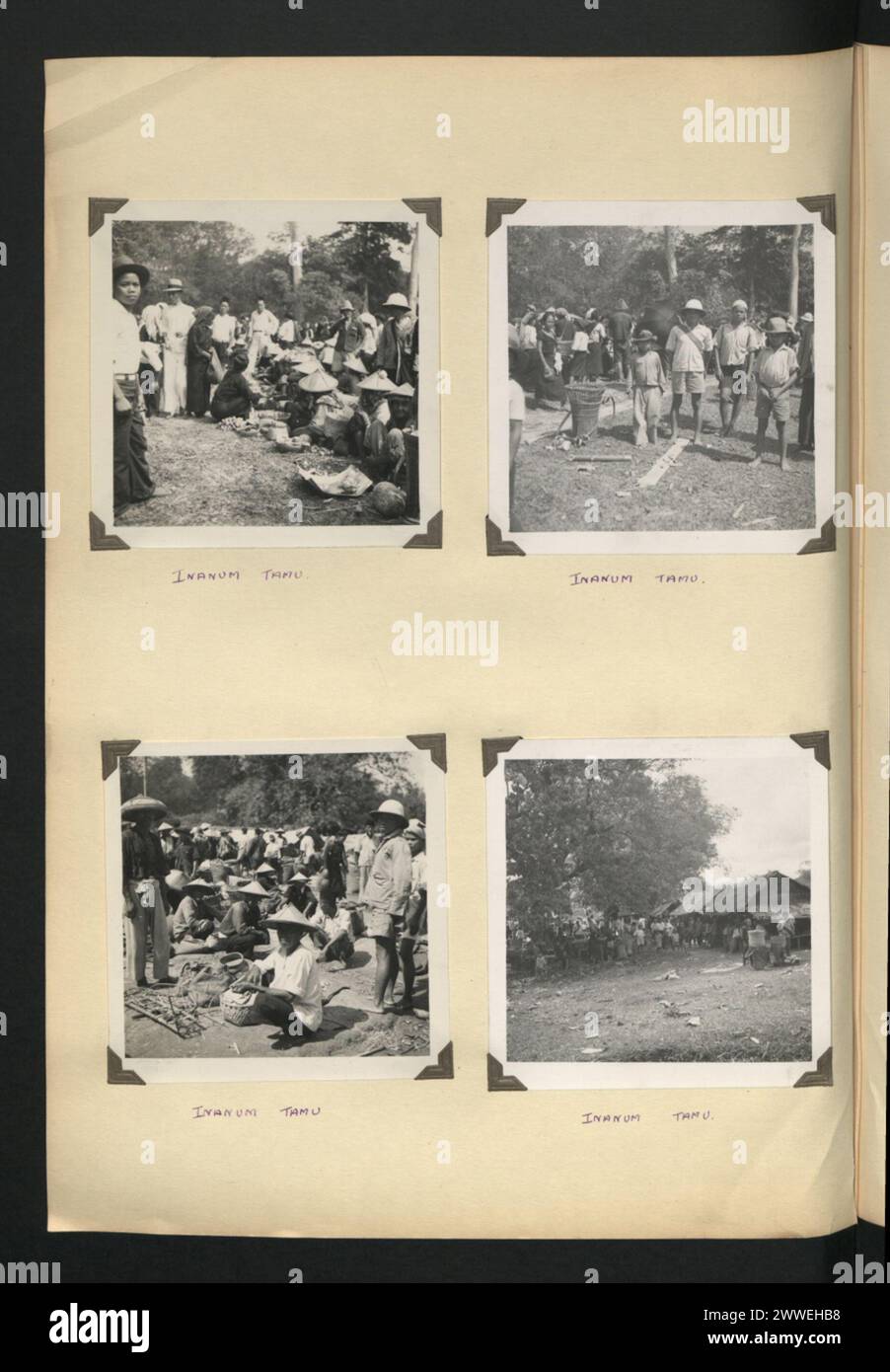 Description: Inanum Tamu. Location: Inanum, Borneo asia, malaysia ...