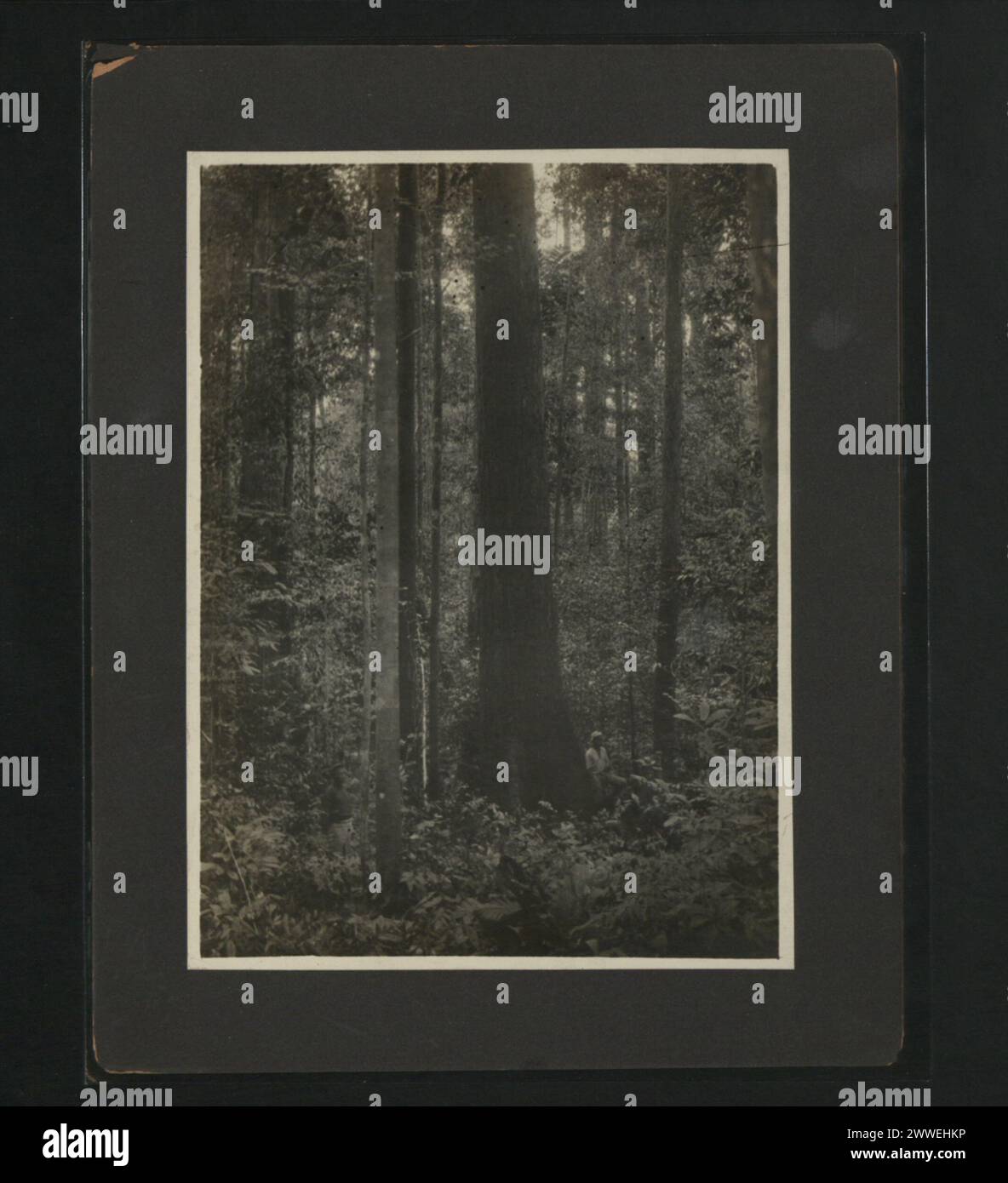 Selangan hi-res stock photography and images - Alamy