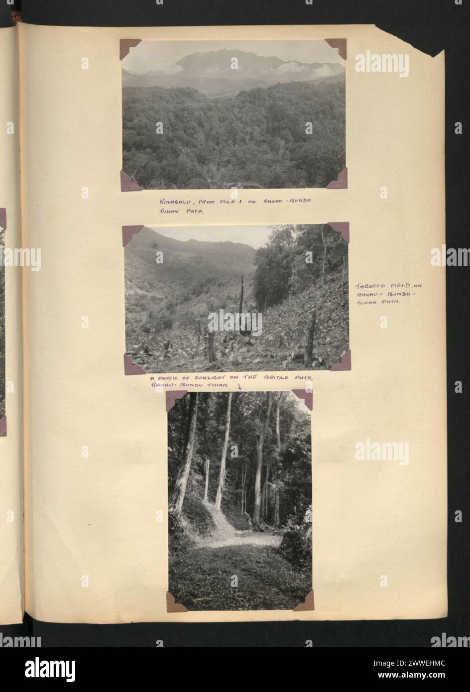 Description: Kinabalu, from mile 1 on Ranau-Bundu Tuhan path. Location ...