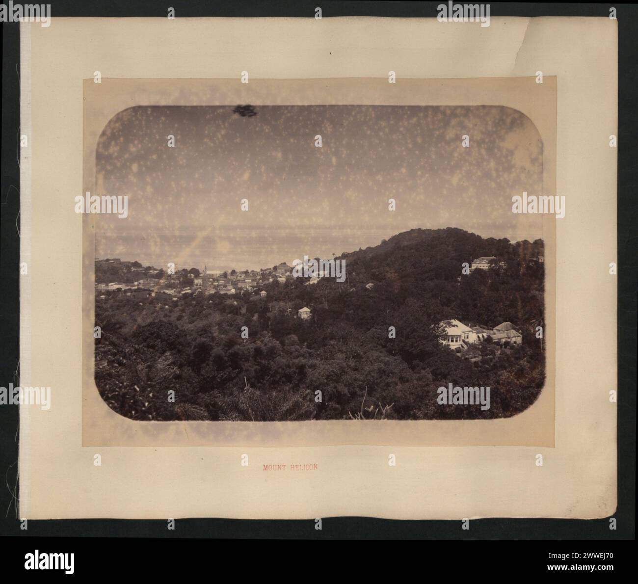 Historichelicon hi-res stock photography and images - Alamy