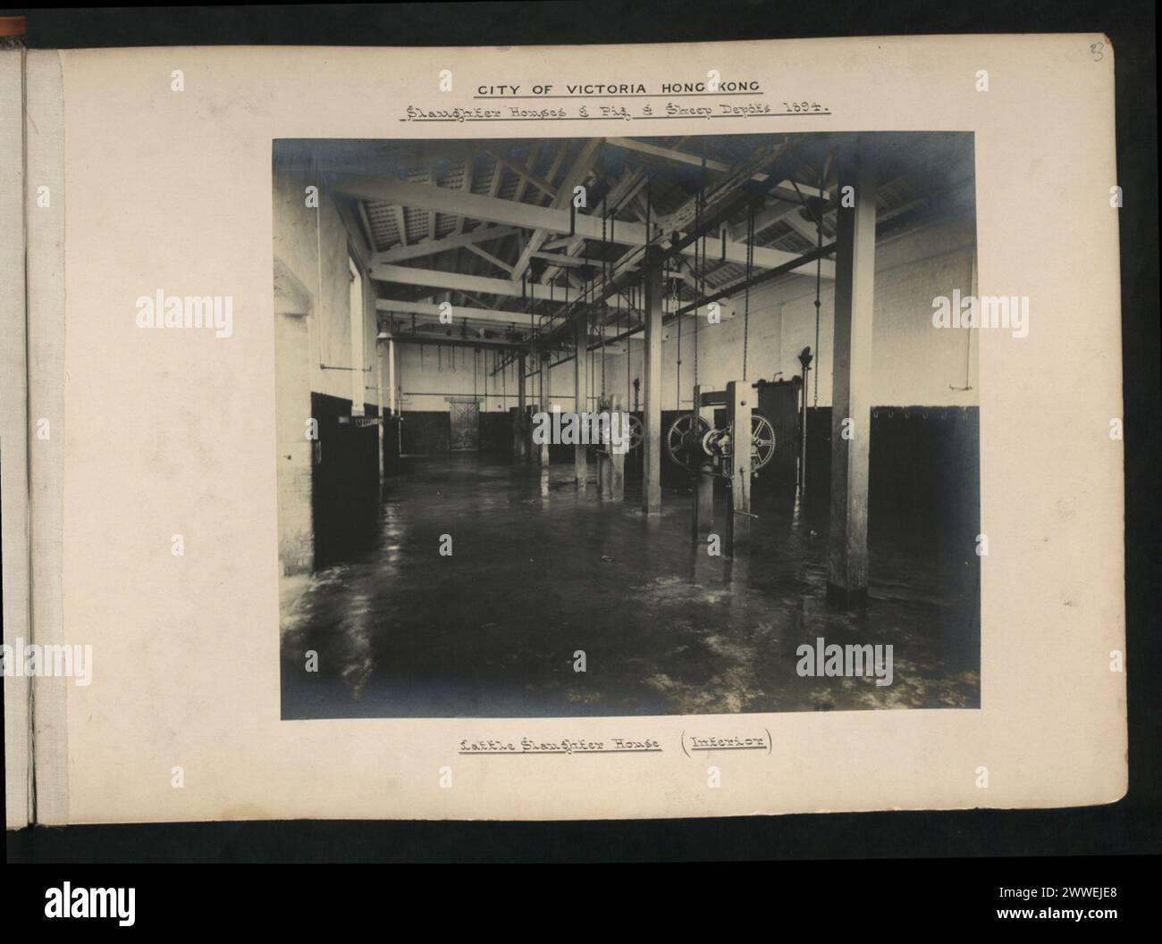 Description: City Of Victoria Hong Kong. Slaughter Houses & Pig & Sheep ...