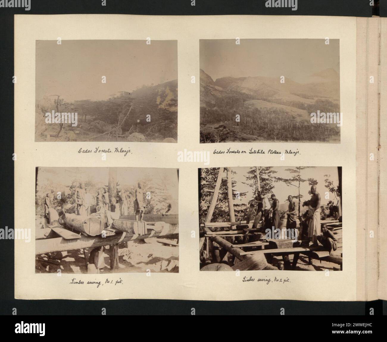 Pit sawing hi-res stock photography and images - Alamy