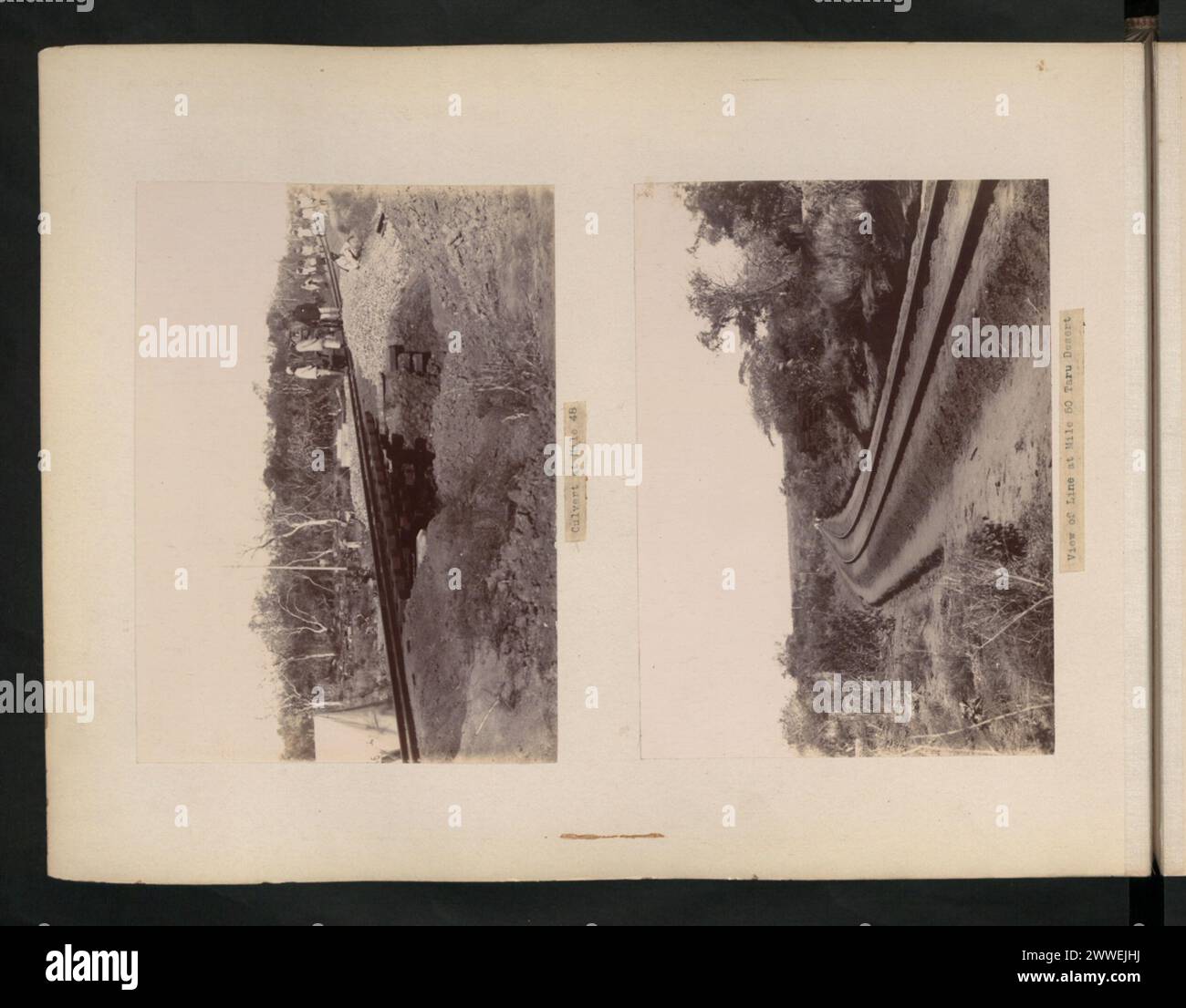 Taru desert hi-res stock photography and images - Alamy