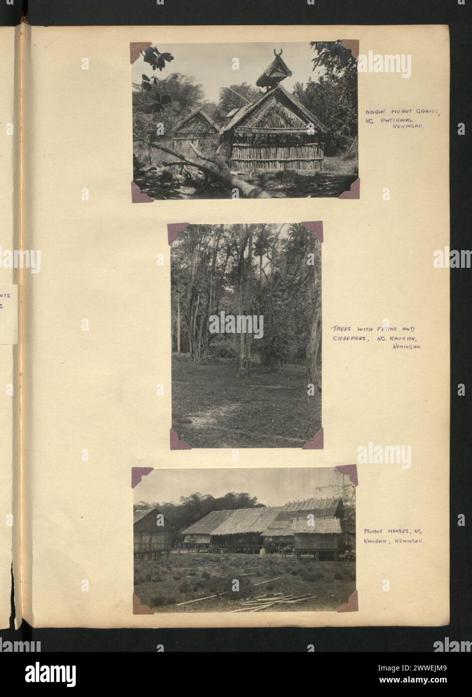 Description: Nabai Murut graves, KG. Patikang, Keningau. Location ...