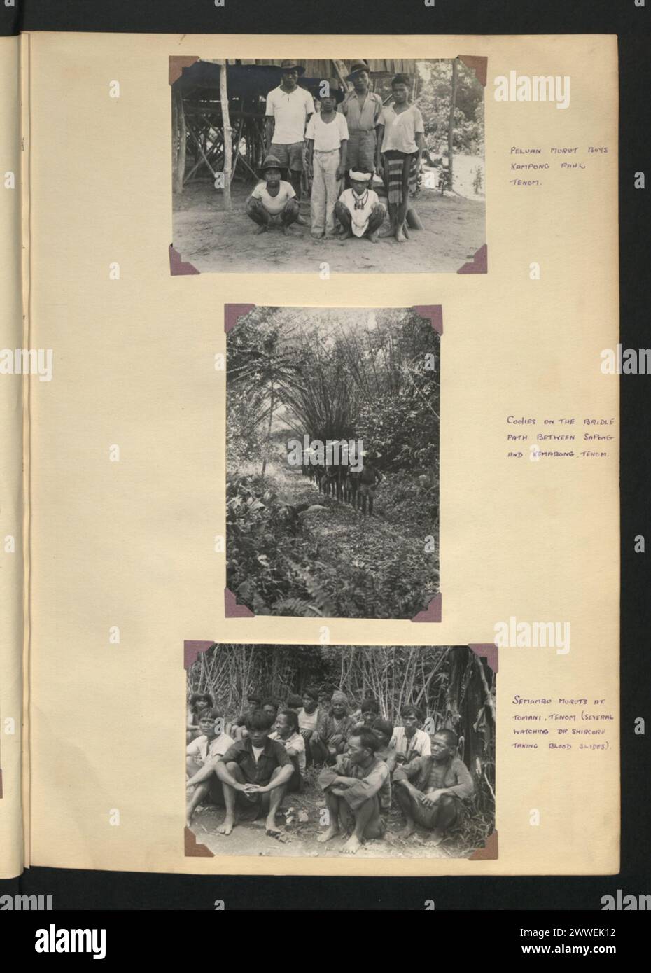 Description: Peluan Murut boys, Kampong Pahl, Tenom. Location: Tenom ...