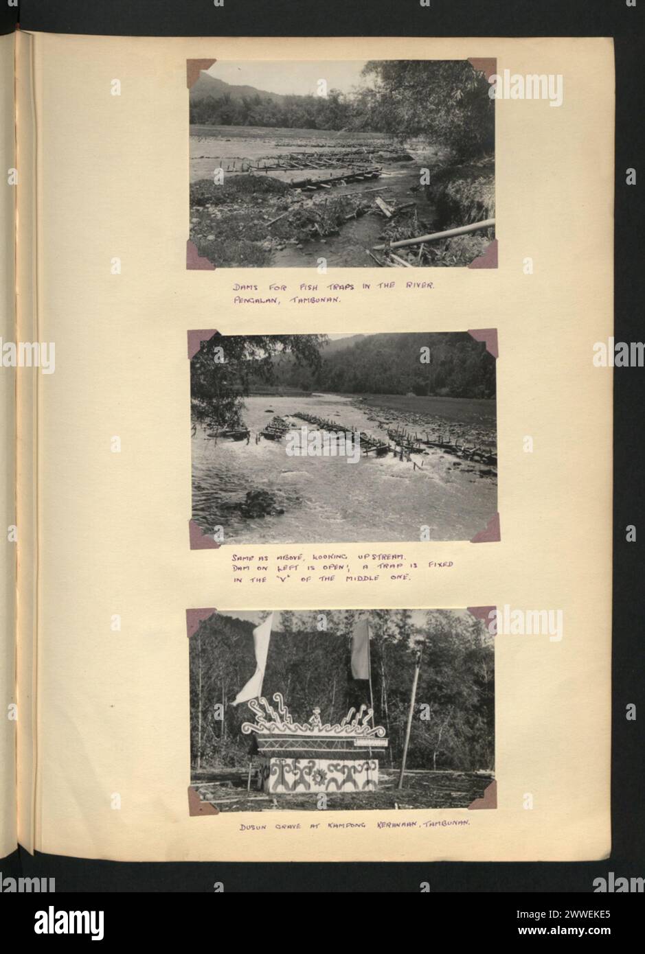Dams and fish traps in the Pengalan River, Tambunan, are used to catch ...