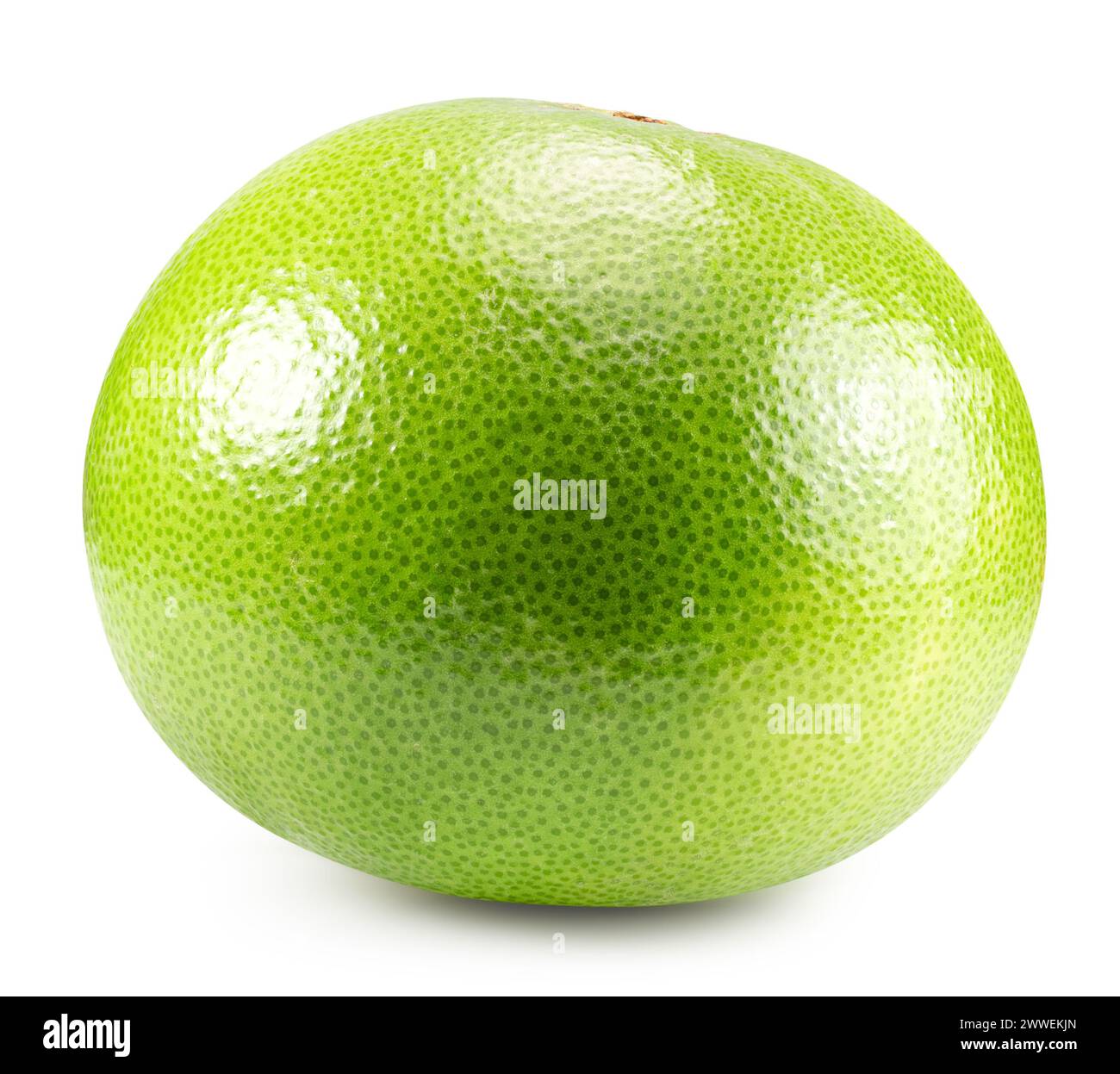 citrus sweetie isolated on the white background. Clipping path Stock ...