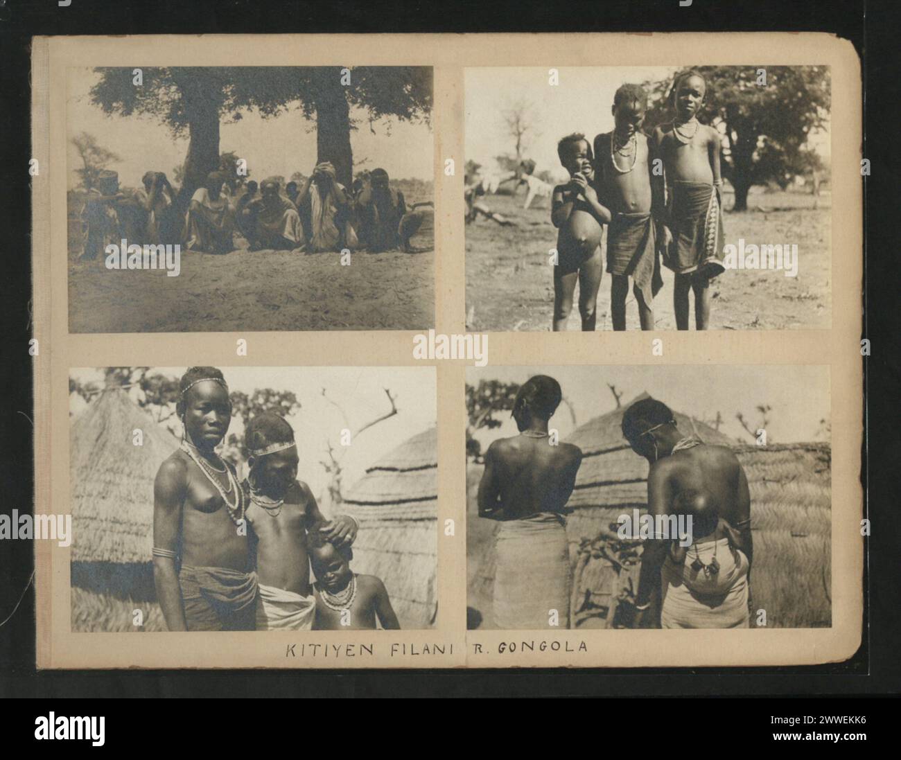 Description: Kitiyen Filani R. Gongola africa Stock Photo - Alamy