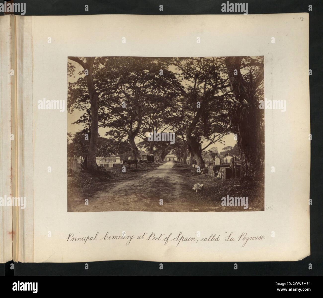 La Peyrouse, the principal cemetery in Port of Spain, Trinidad and ...
