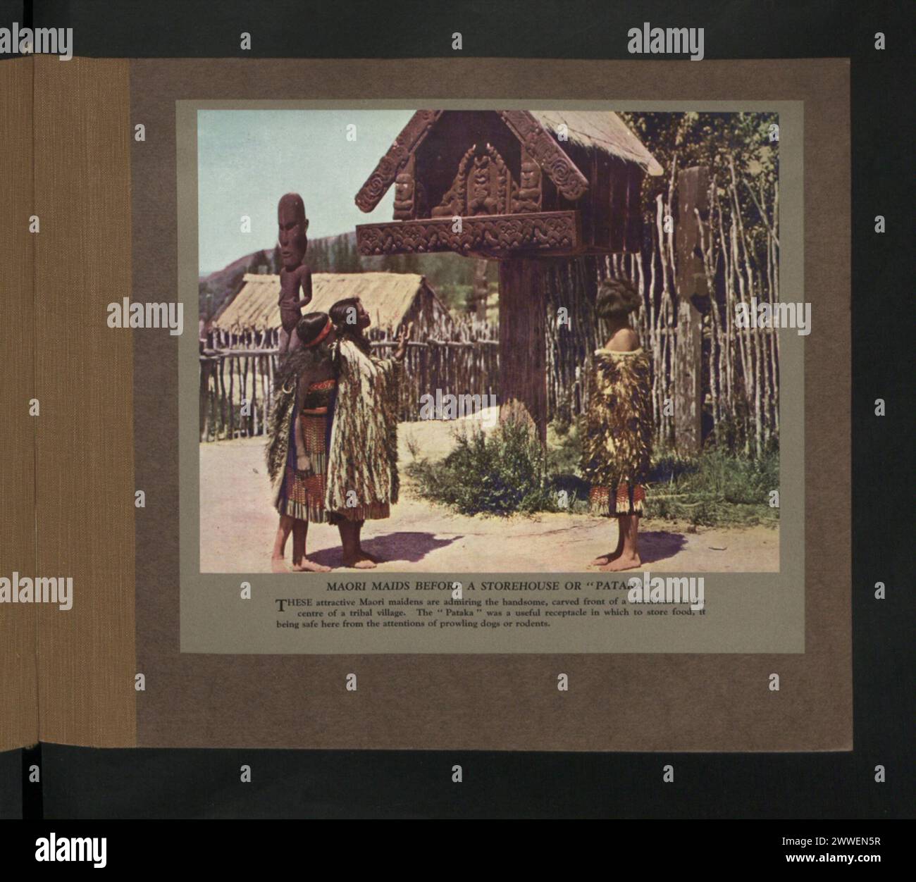 Maori new zealand pataka hi-res stock photography and images - Alamy