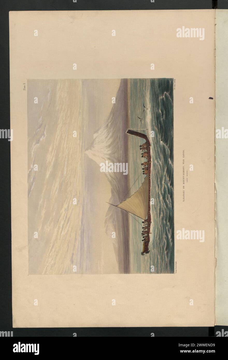 Taranaki war hi-res stock photography and images - Alamy