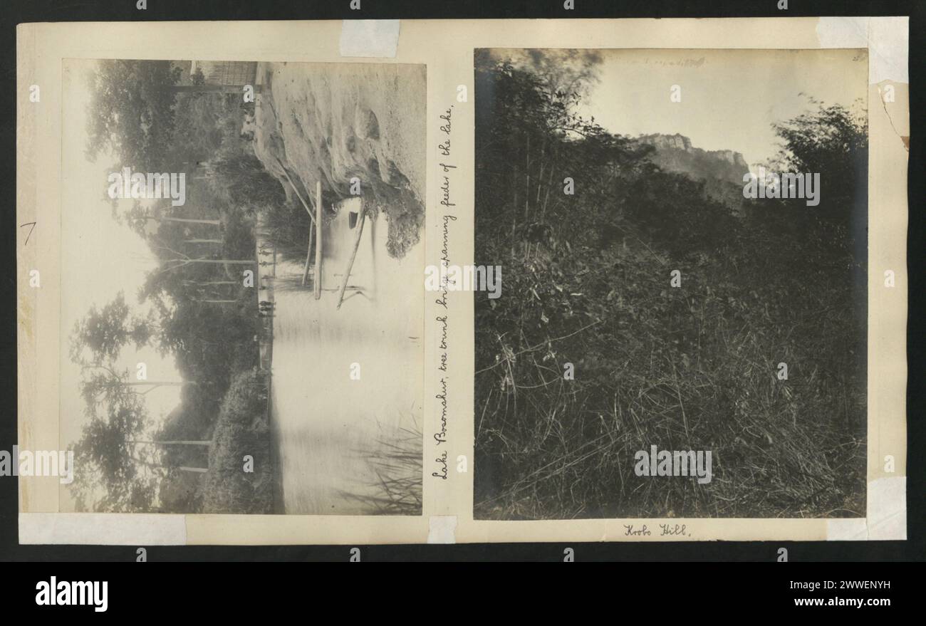 Description: Lake Bosomshur, tree trunk bridge spanning feeder of the ...