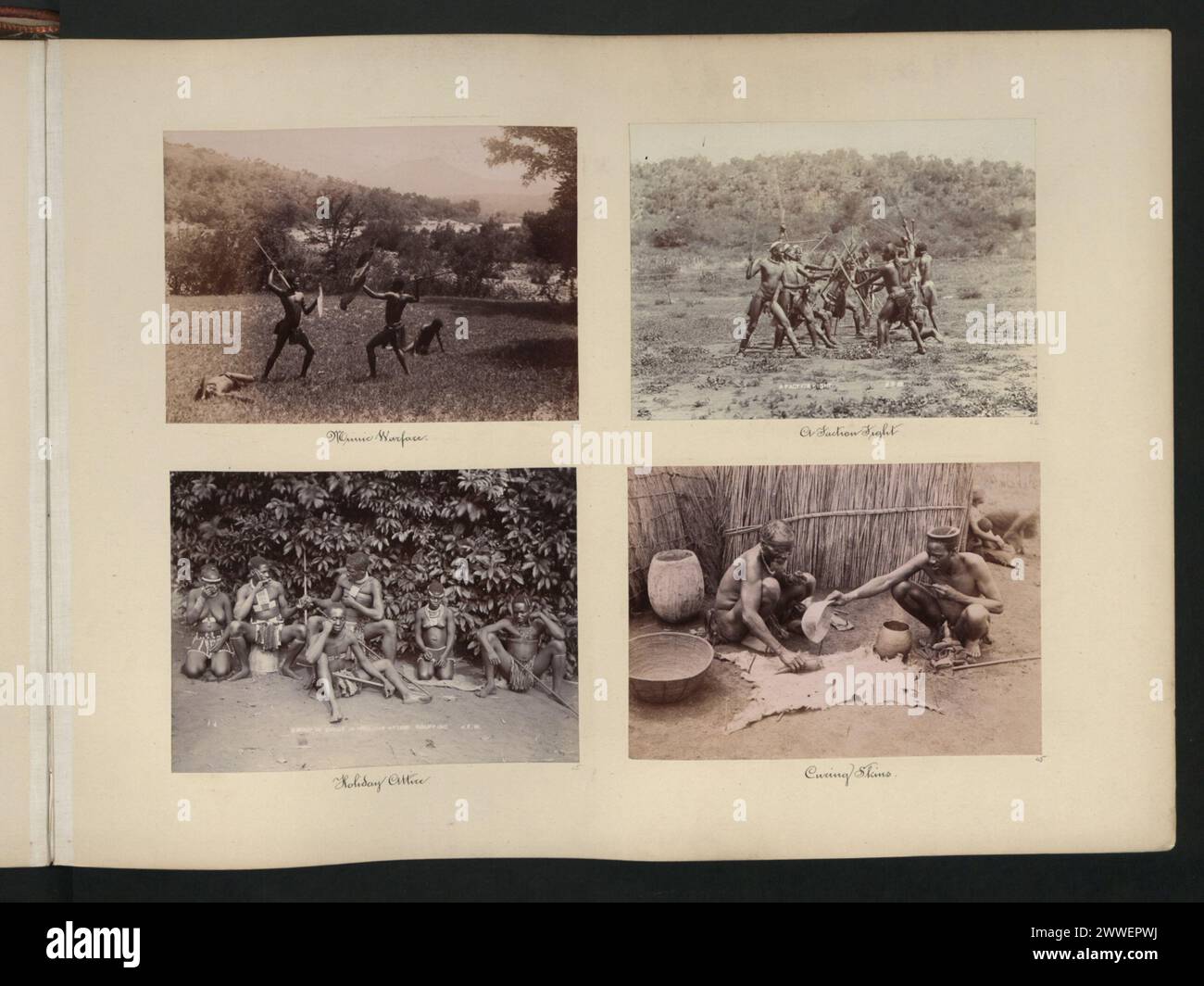 Description: Mimic Warfare. Description: A Faction Fight. Description ...