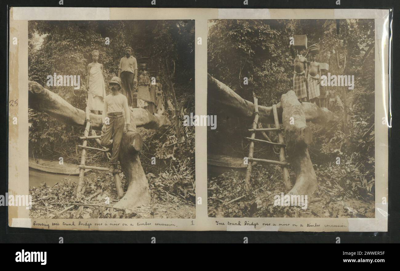 Description: Grossing tree trunk bridge over a river on a timber ...