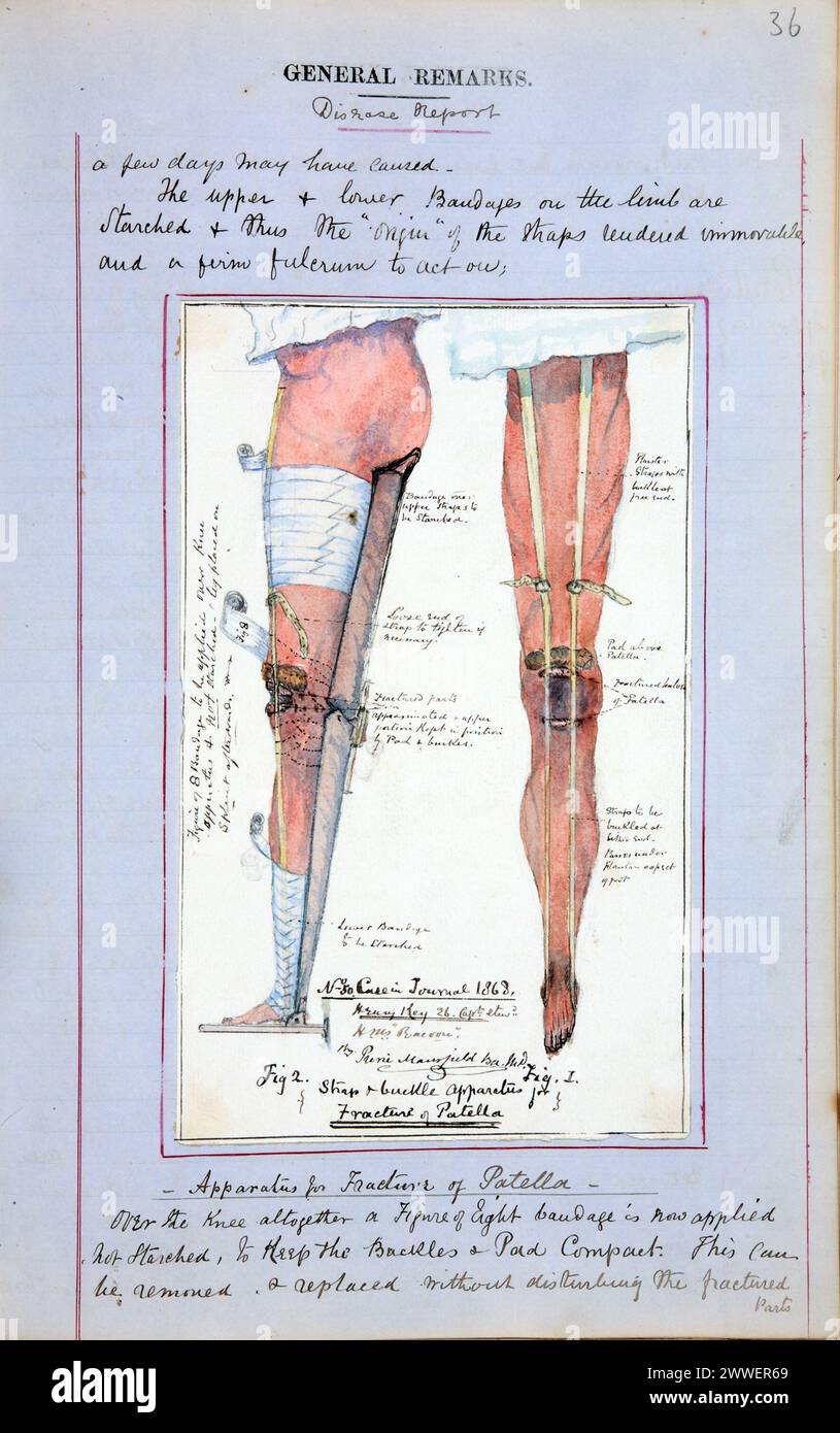 Hms racoon hi-res stock photography and images - Alamy