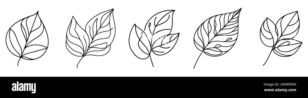 Linear leaves. Set of leaf icons. Black outline leaves in flat style ...