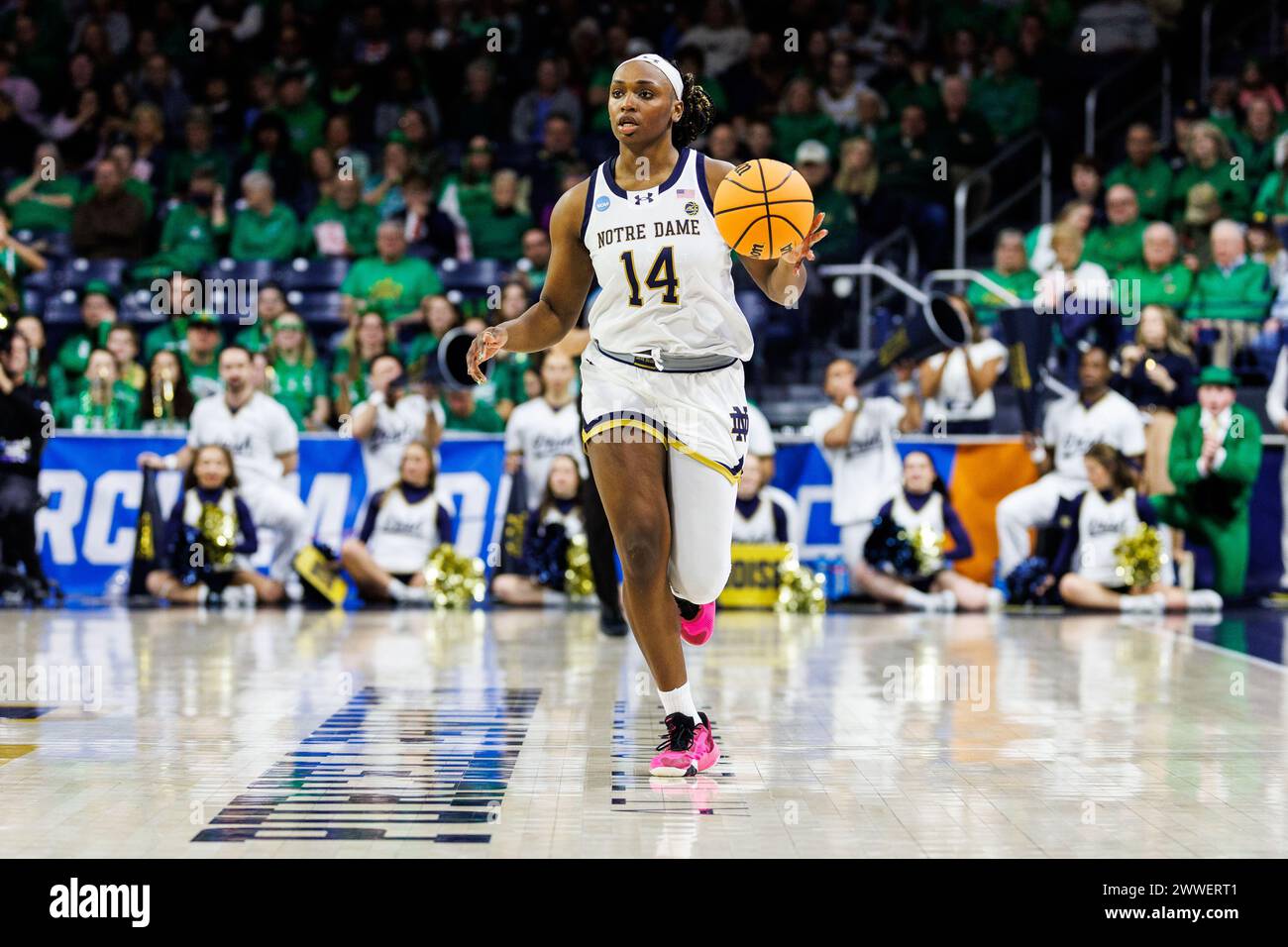 South Bend, Indiana, USA. 23rd Mar, 2024. Notre Dame guard KK Bransford (14) advances the ball ...