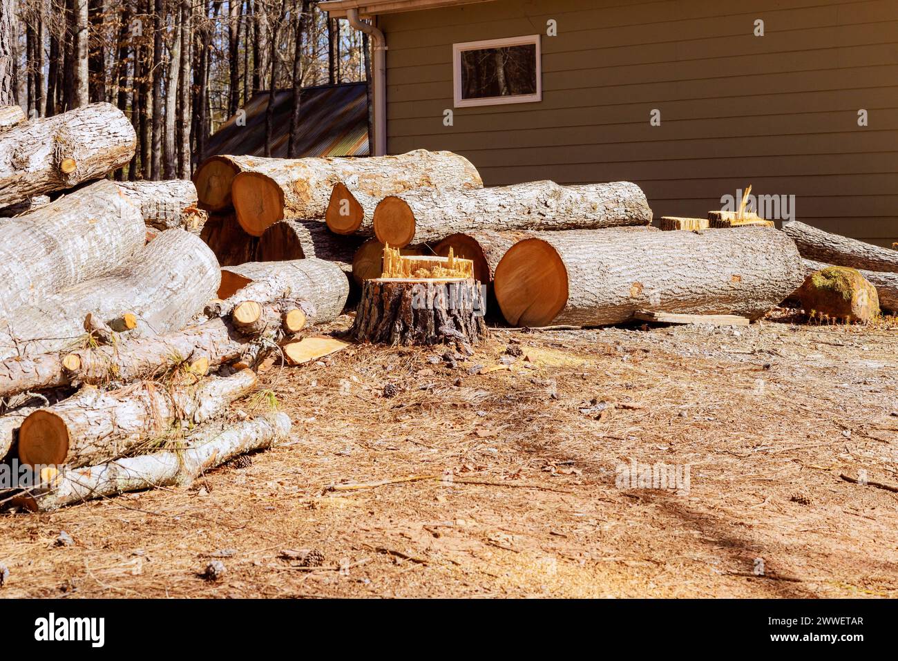 Tree log pile ecological impact hi-res stock photography and images - Alamy