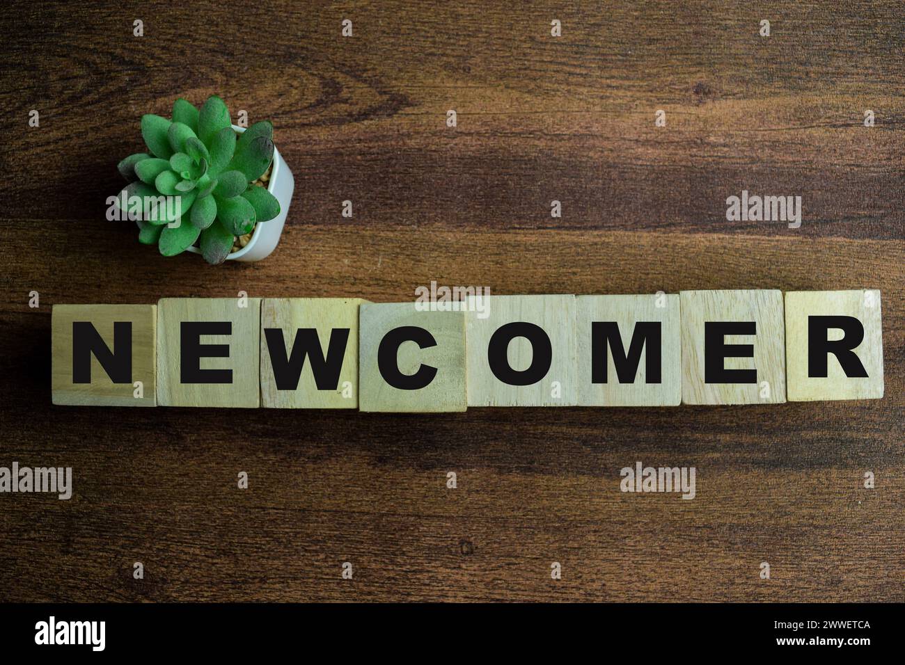 Newcomer concept hi-res stock photography and images - Alamy