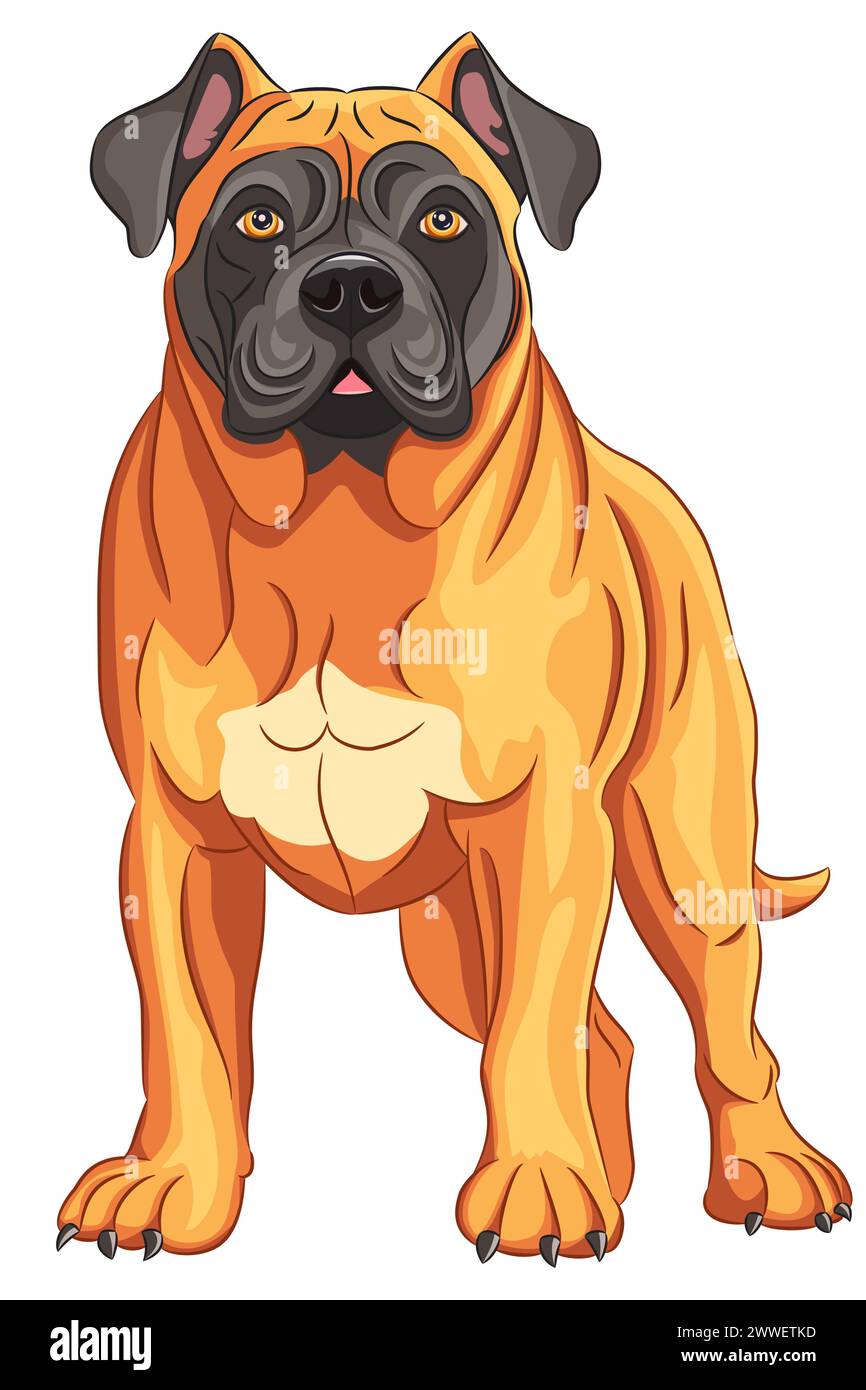 Powerful position Cut Out Stock Images & Pictures - Alamy