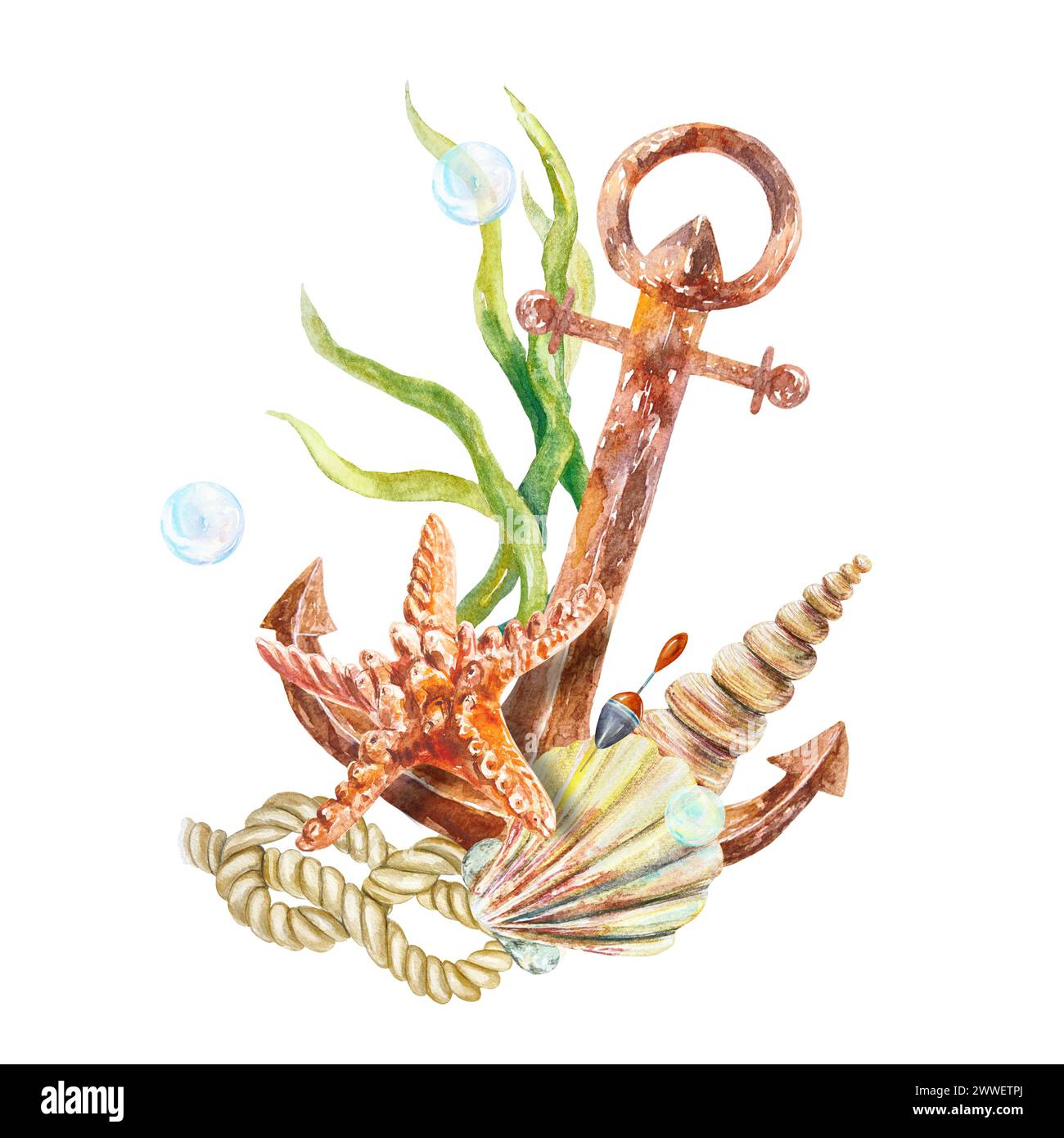 Anchor, seaweed, shell, sea rope, starfish isolated on white background. Hand drawn watercolor ...