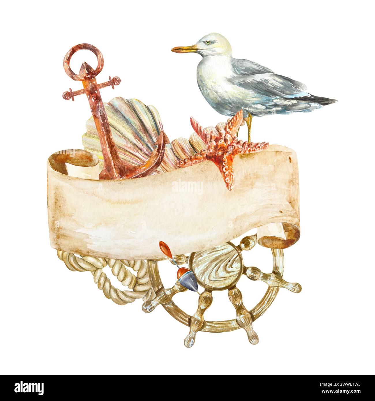 Sea helm, seagull, anchor, seaweed, starfish, shell isolated on white ...