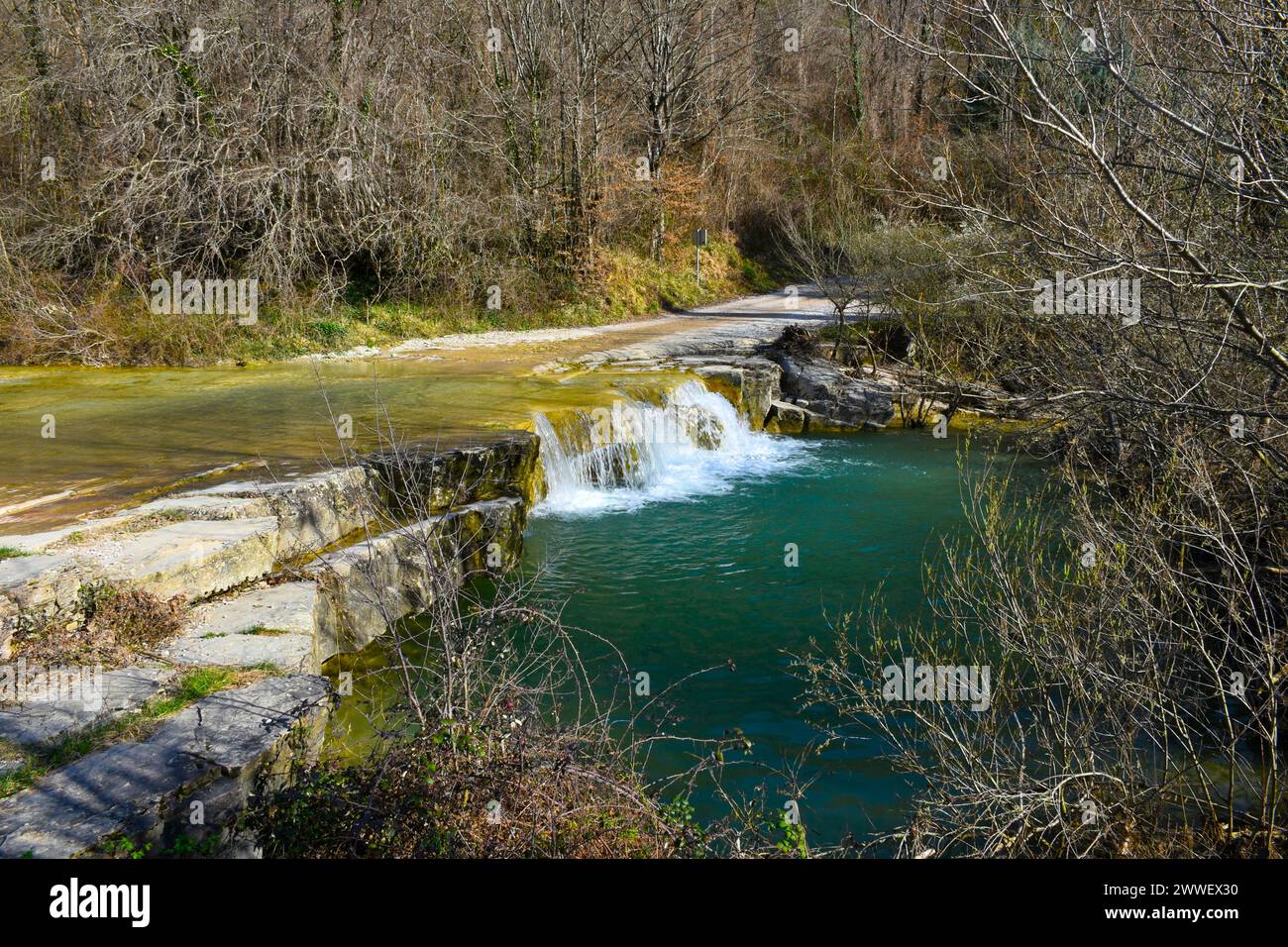 Pinjevec hi-res stock photography and images - Alamy