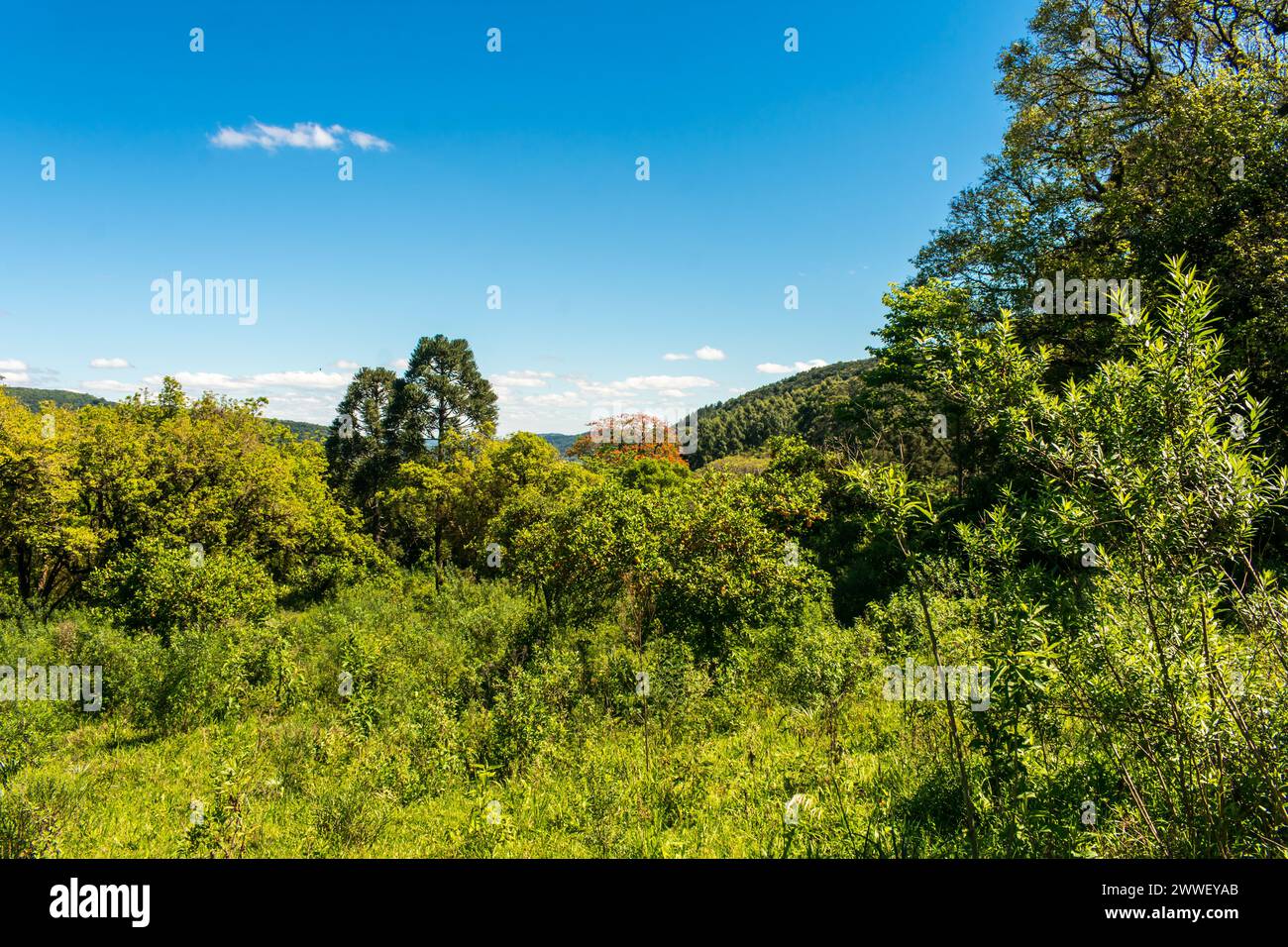A view of the countryside (Carapina valley) of Sao Francisco de Paula ...