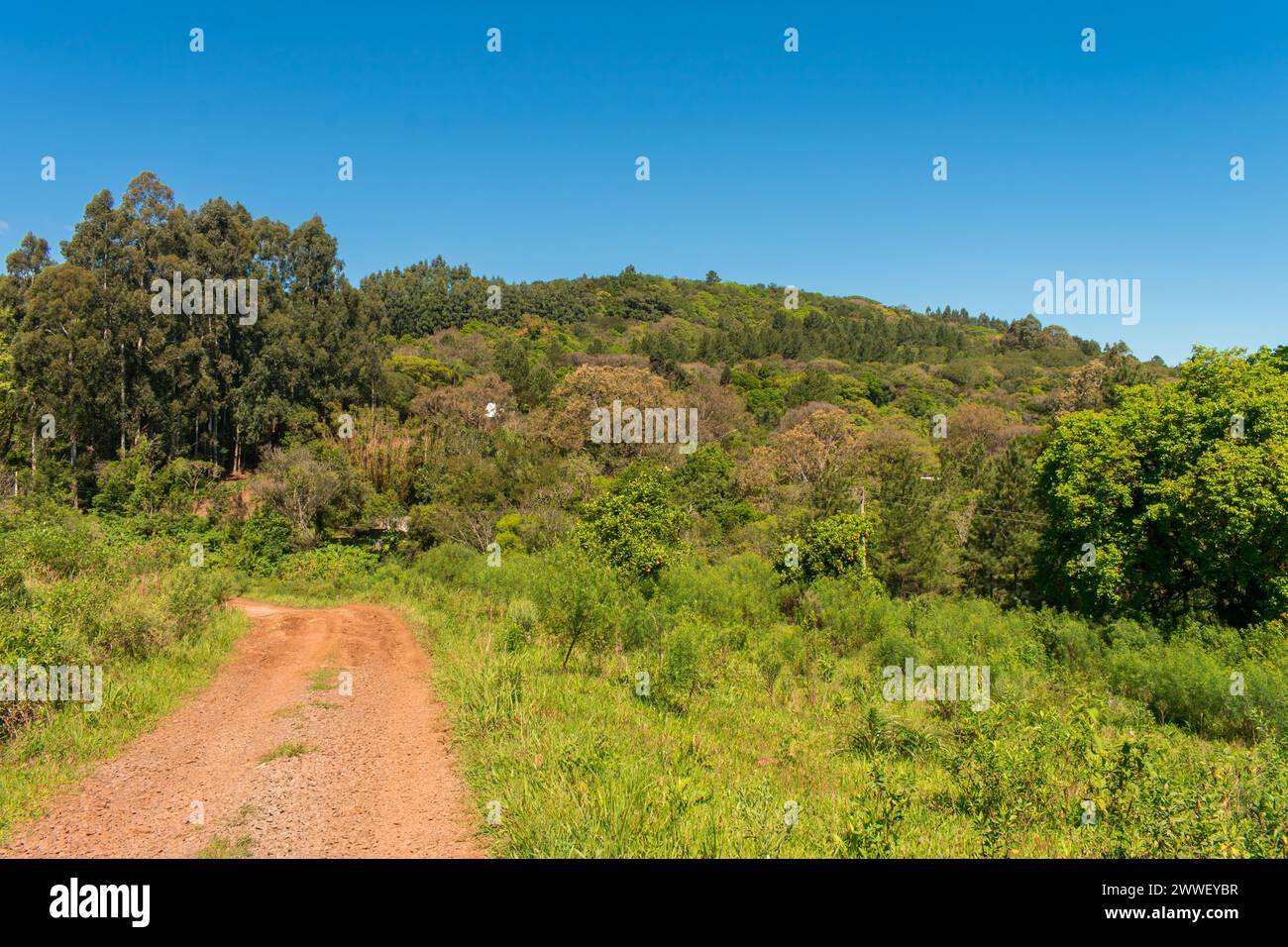 Rural road in the countryside of Sao Francisco de Paula (Carapina ...