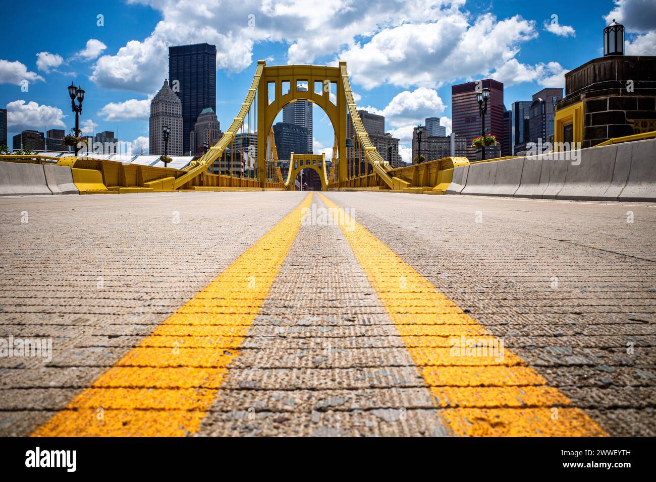 Vibrant markings hi-res stock photography and images - Alamy