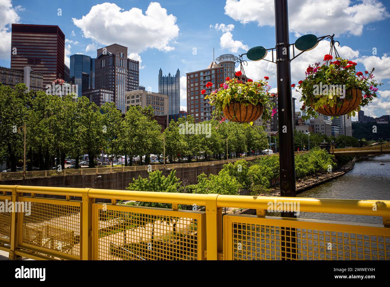 On a sunny day, the yellow Rachel Carson Bridge offers a stunning view ...