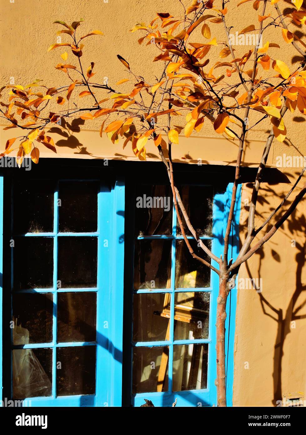 Tree limb art hi-res stock photography and images - Alamy