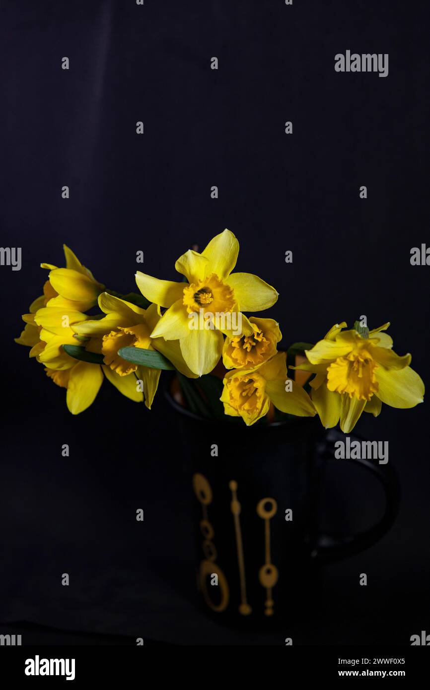 Bouquet of yellow daffodils in a cup on a black background Stock Photo ...