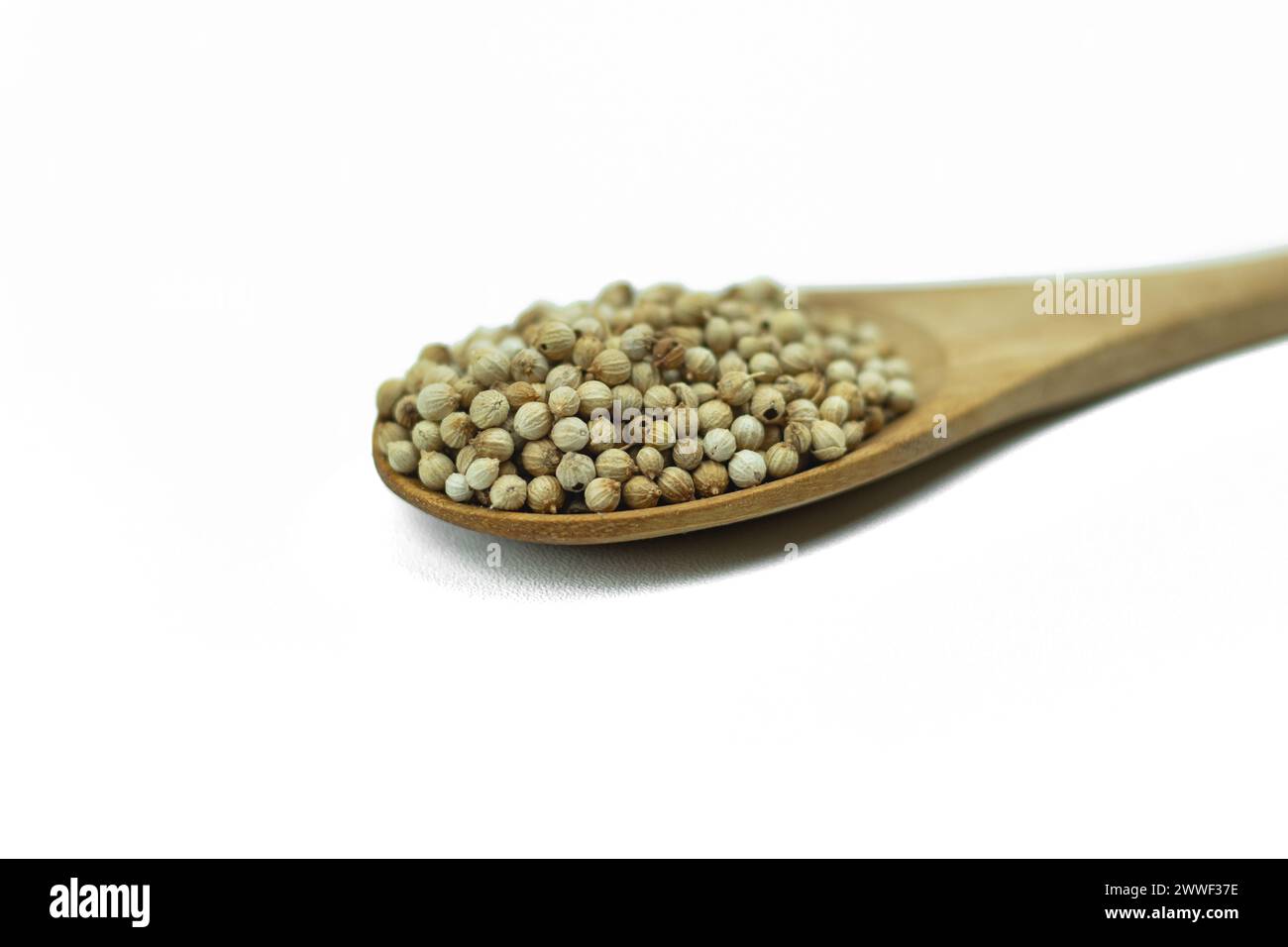 Close-up of Coriander seeds on wooden spoon isolated on white ...