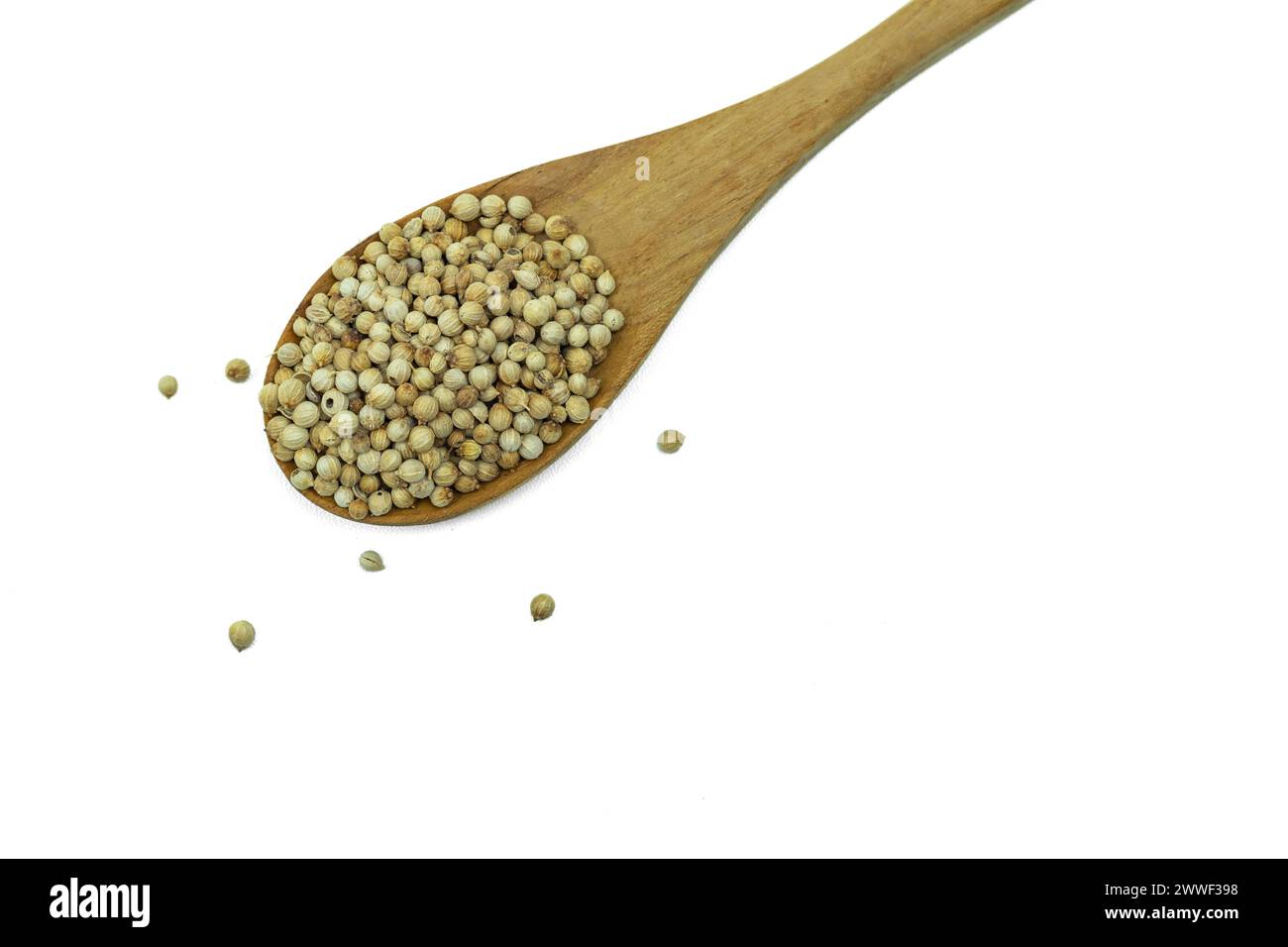 Coriander seeds on wooden spoon isolated on white background. Top view ...