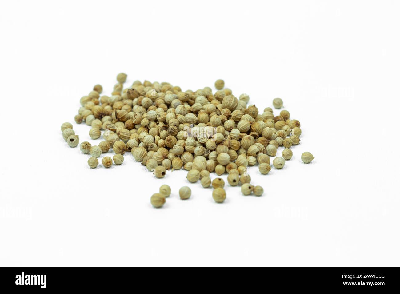 Close up of Dried Coriander seeds isolated on white background Stock Photo - Alamy