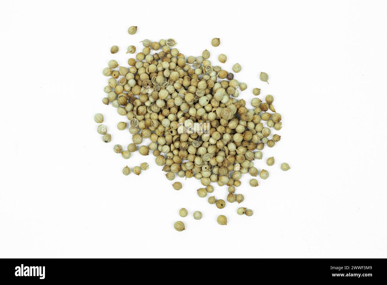 Close up of Dried Coriander seeds isolated on white background. Top view Stock Photo - Alamy