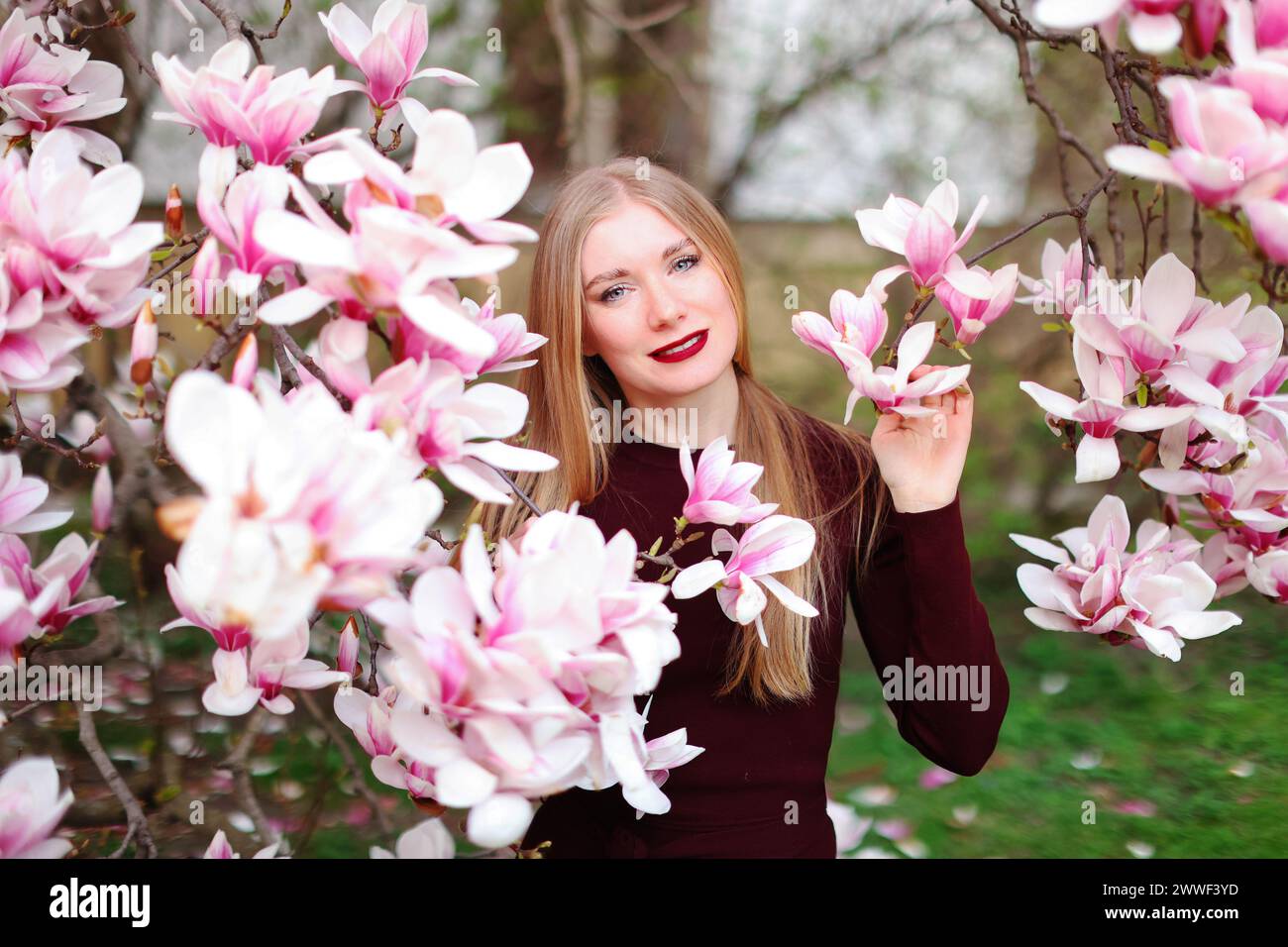beautiful young girl posing in blooming magnolia Stock Photo - Alamy