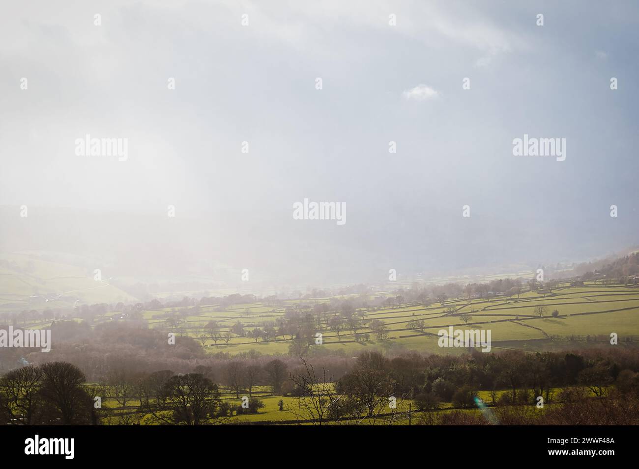 Misty countryside landscape with sunlit fields and scattered trees ...