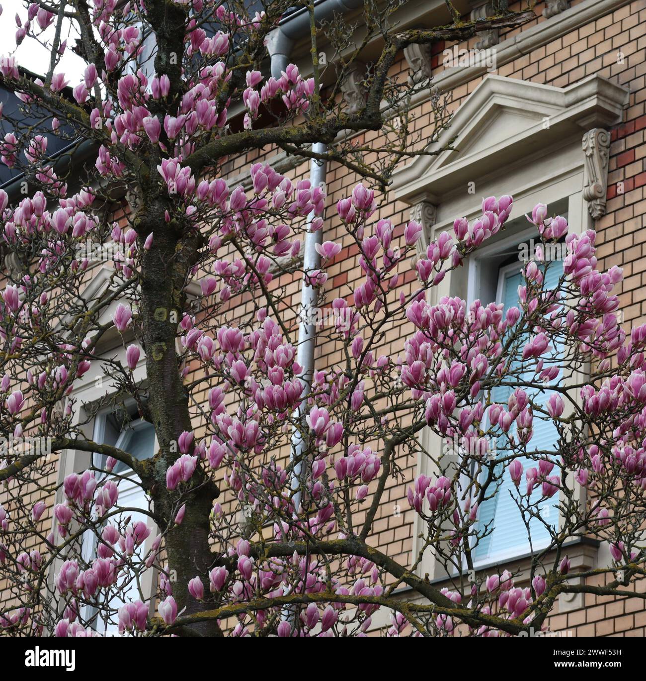 Japanese brick buildings hi-res stock photography and images - Alamy