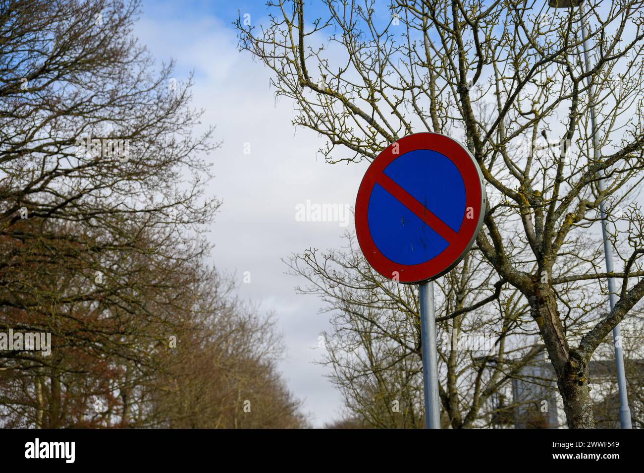 Prohibited parking sign Stock Photo - Alamy