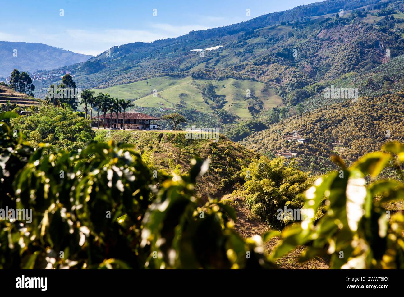 The beautiful Coffee Cultural Landscape of Colombia declared as a World ...