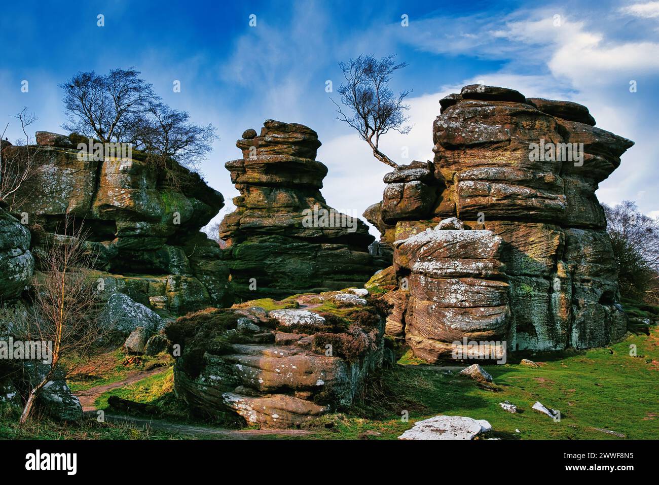 Scenic view of weathered rock formations with a solitary tree against a ...