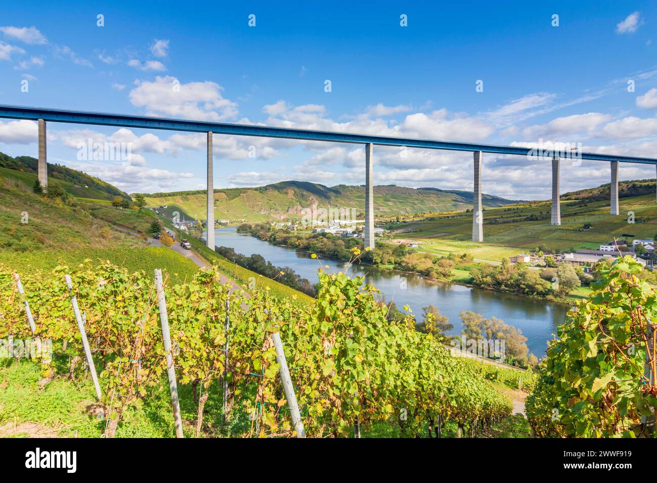 Hochmoselbrücke High Moselle Bridge, river Mosel Moselle, vineyard ...