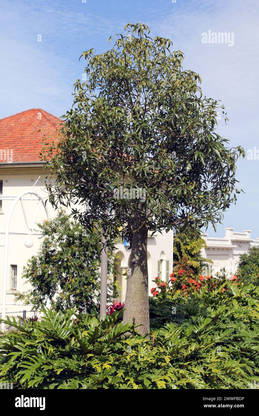 Plants bottle garden hi-res stock photography and images - Alamy