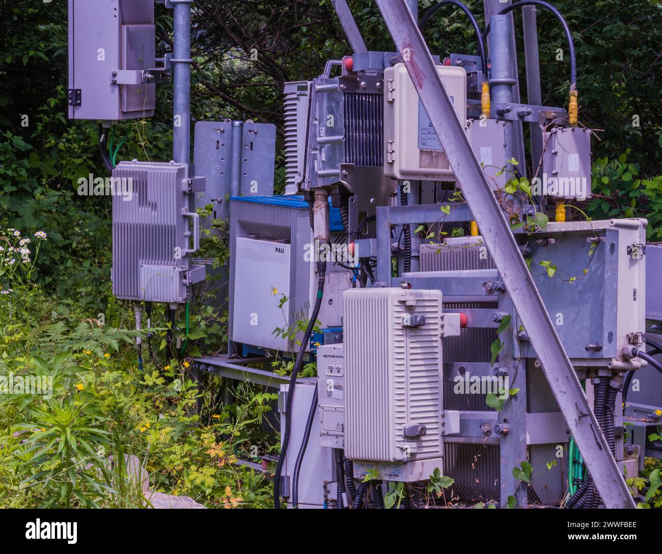 Cluster of telecom equipment and electrical enclosures amid greenery ...