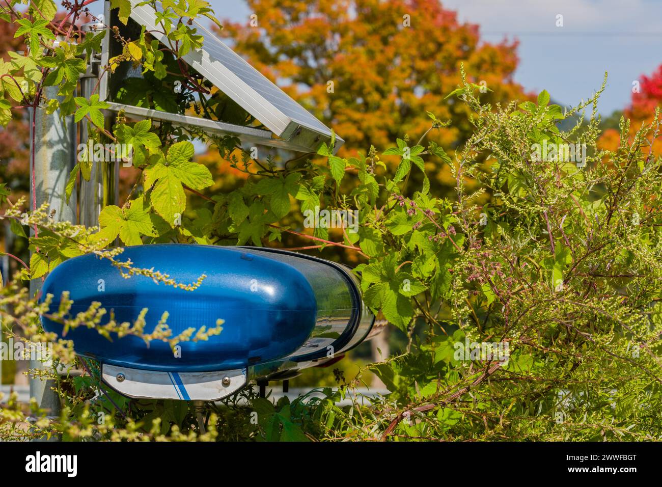 Power plant south korea hi-res stock photography and images - Alamy