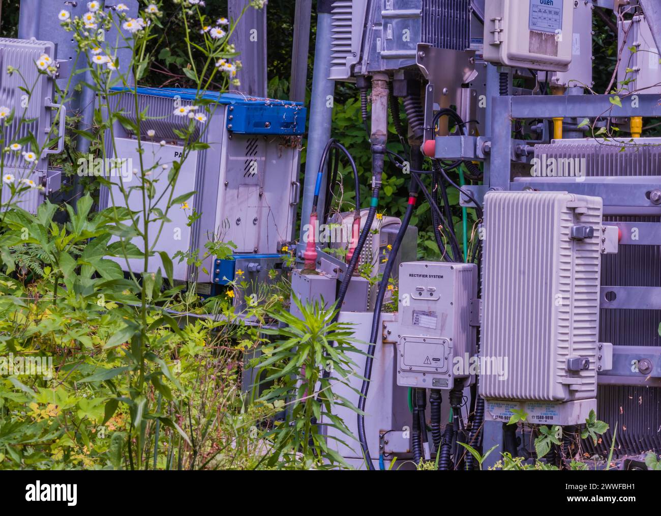 Metal vegetation hi-res stock photography and images - Alamy