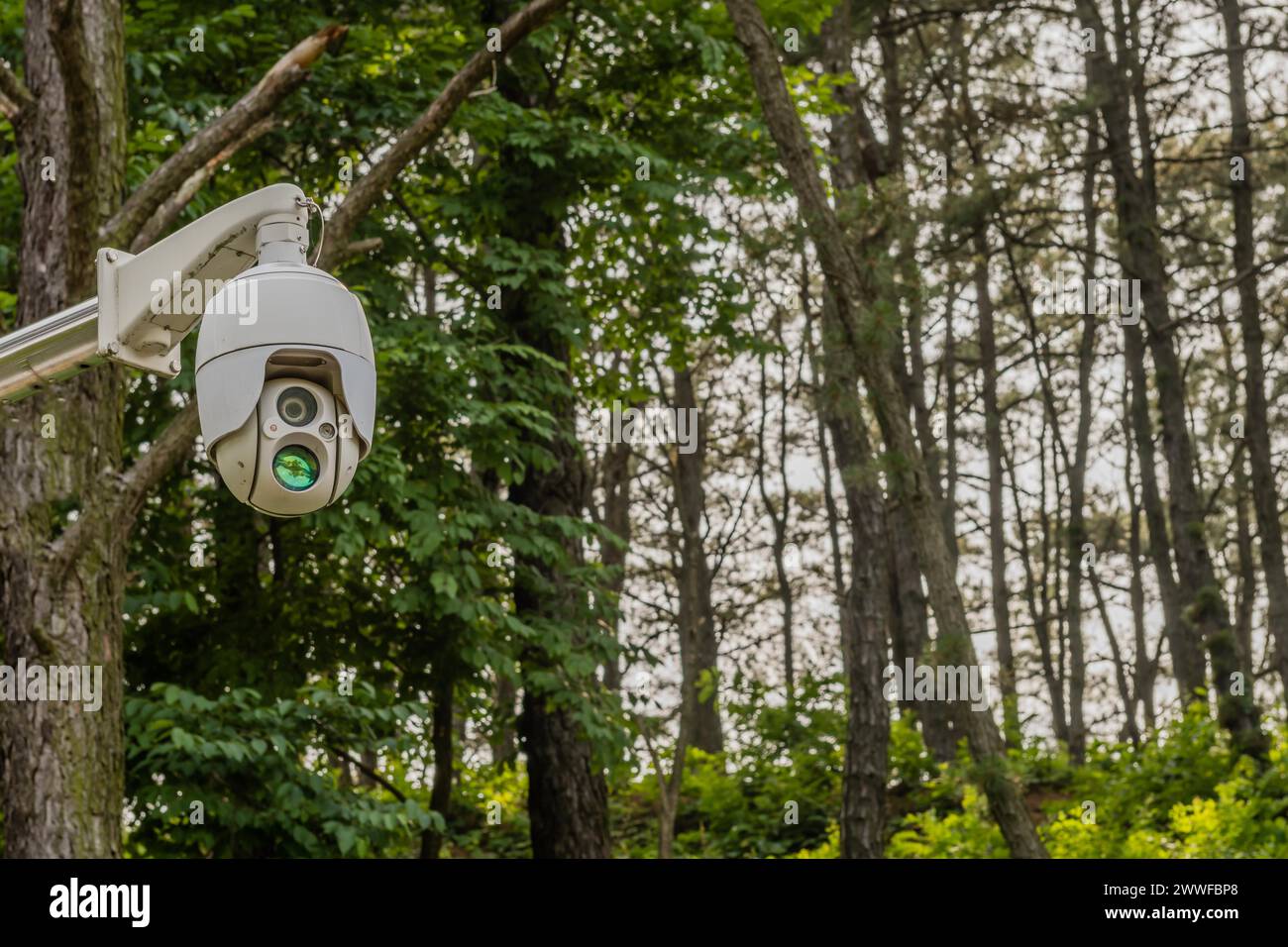Surveillance camera in woodland public park with trees in background in ...